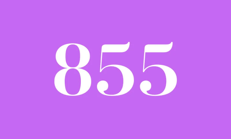 【8558】のエンジェルナンバーの意味｜高次な思考が経済面に前向きな変化を起こします